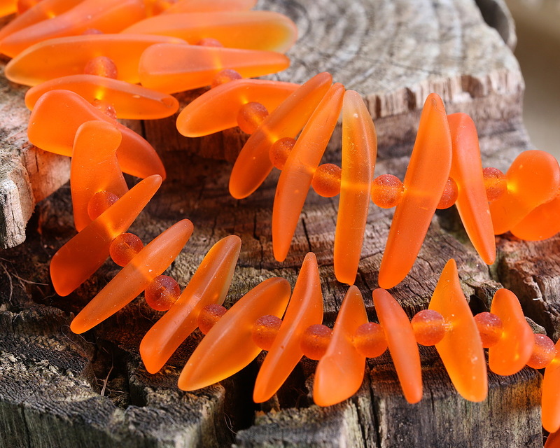 Tangerine Beach-Style Glass Fish Bone 3-4x20-25mm