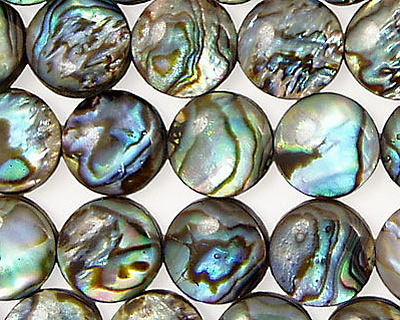 Abalone Large Coin Focal 50mm - Lima Beads